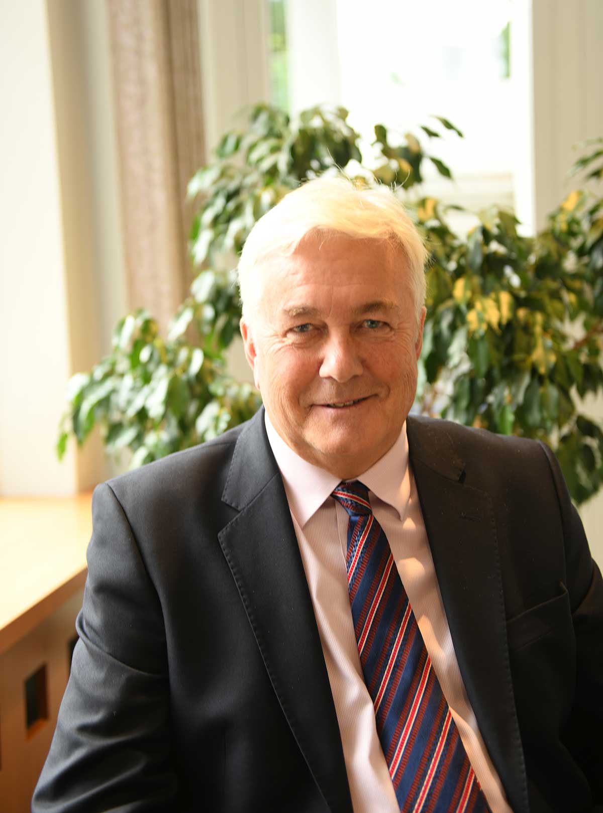 About – Stag Consult